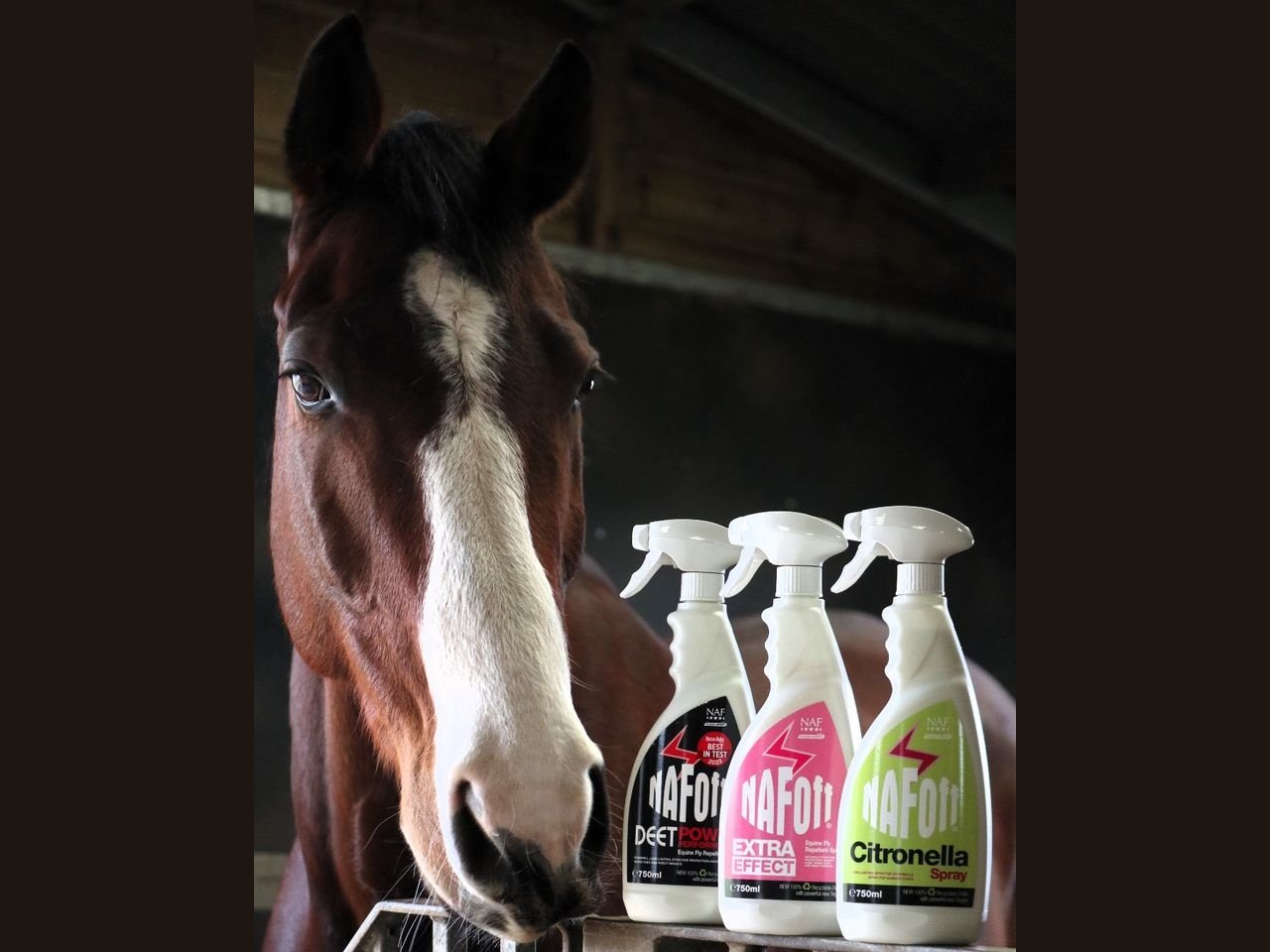 Horse Care – JGS Equine Supplies